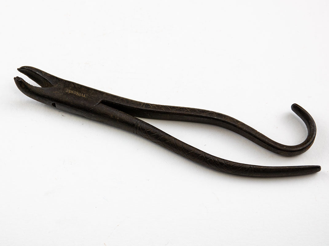 Early Dental Forcep marked Bushnell. Circa 1863