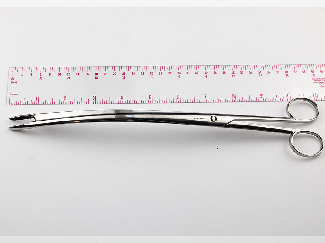 Large Curved Throat Forcep